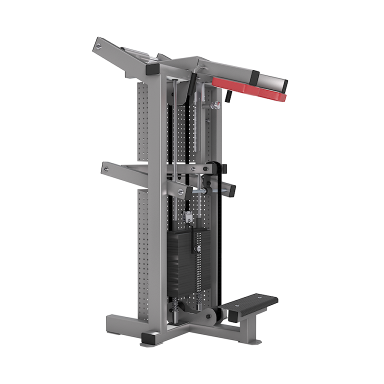 5013 INNOVATION Leg Extension & Leg Curl Machine - gym80 USA LLC