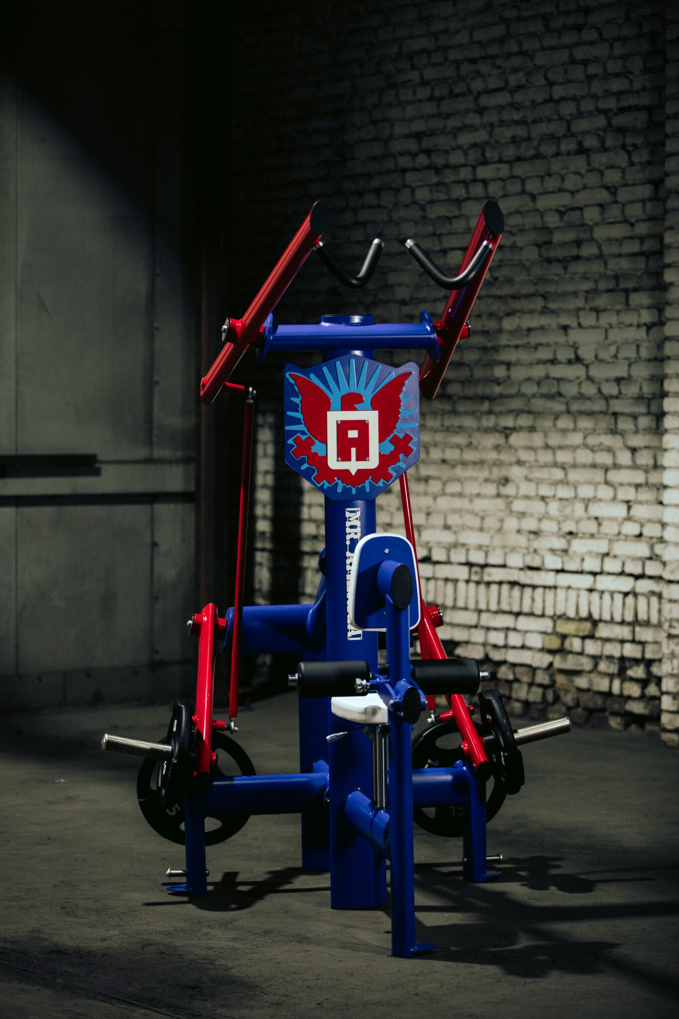 Specialty Strength Machines for Elite Training | gym80